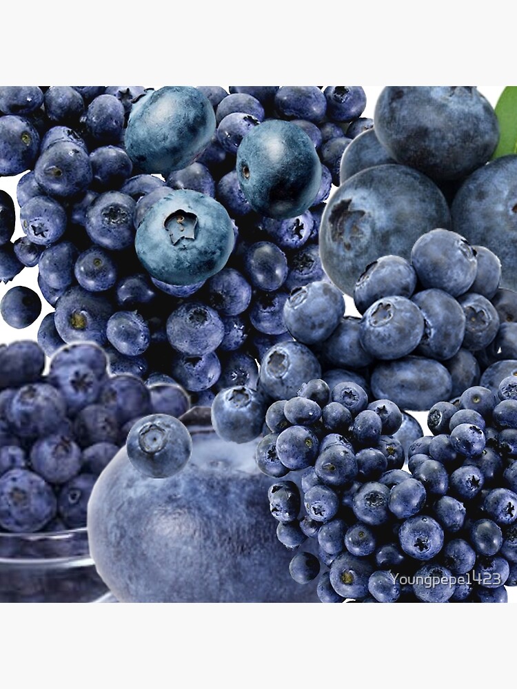 "Blueberry collage " Poster by Youngpepe1423 | Redbubble