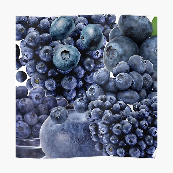 "Blueberry collage " Poster by Youngpepe1423 | Redbubble