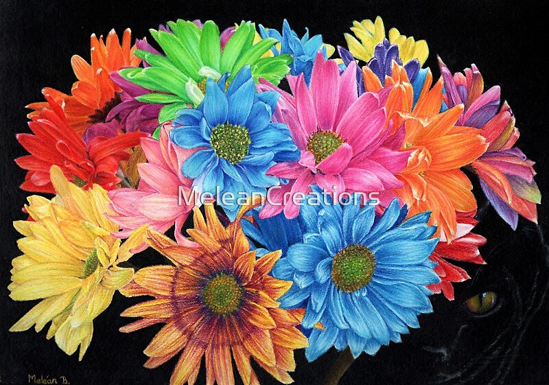 "Daisies Cover" by MeleanCreations | Redbubble