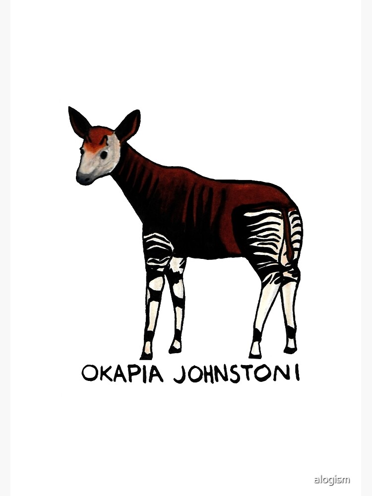 "Okapi (Okapia johnstoni)" Spiral Notebook for Sale by alogism | Redbubble