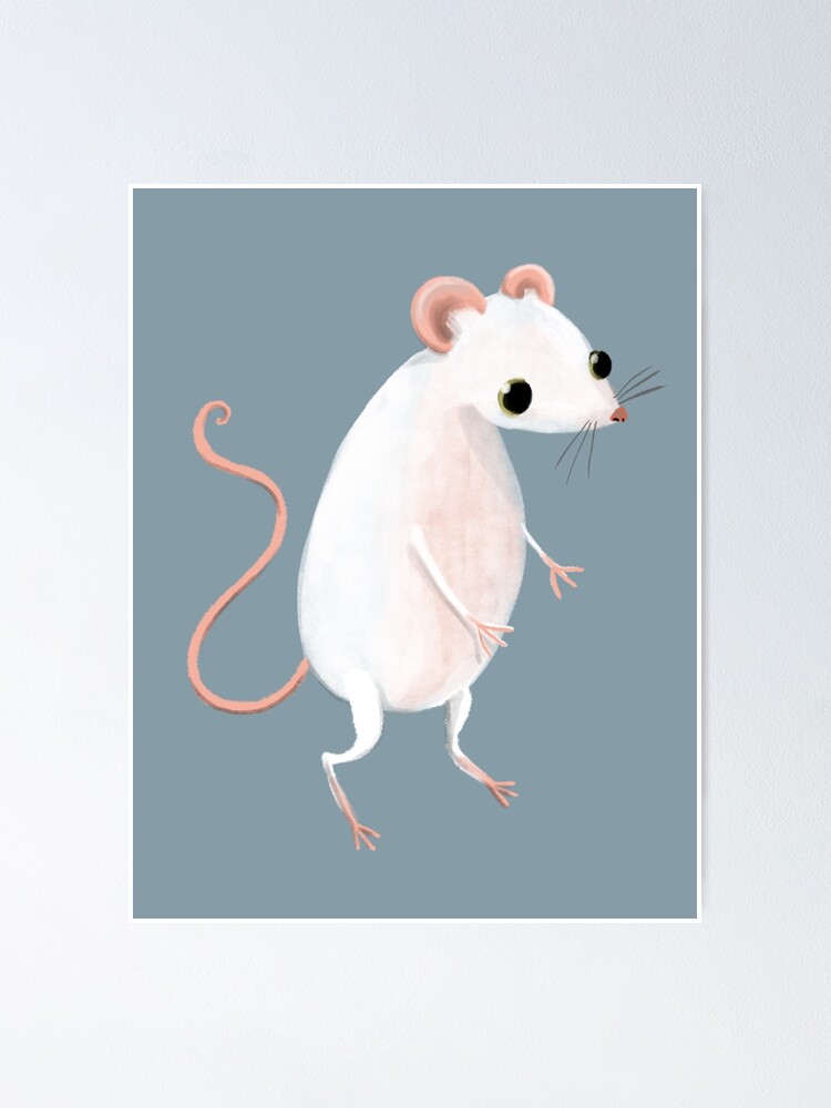 "Cute little white mouse" Poster for Sale by Extreme-Fantasy | Redbubble