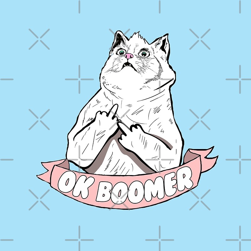 "OK Boomer Cat Meme" by Barnyardy | Redbubble