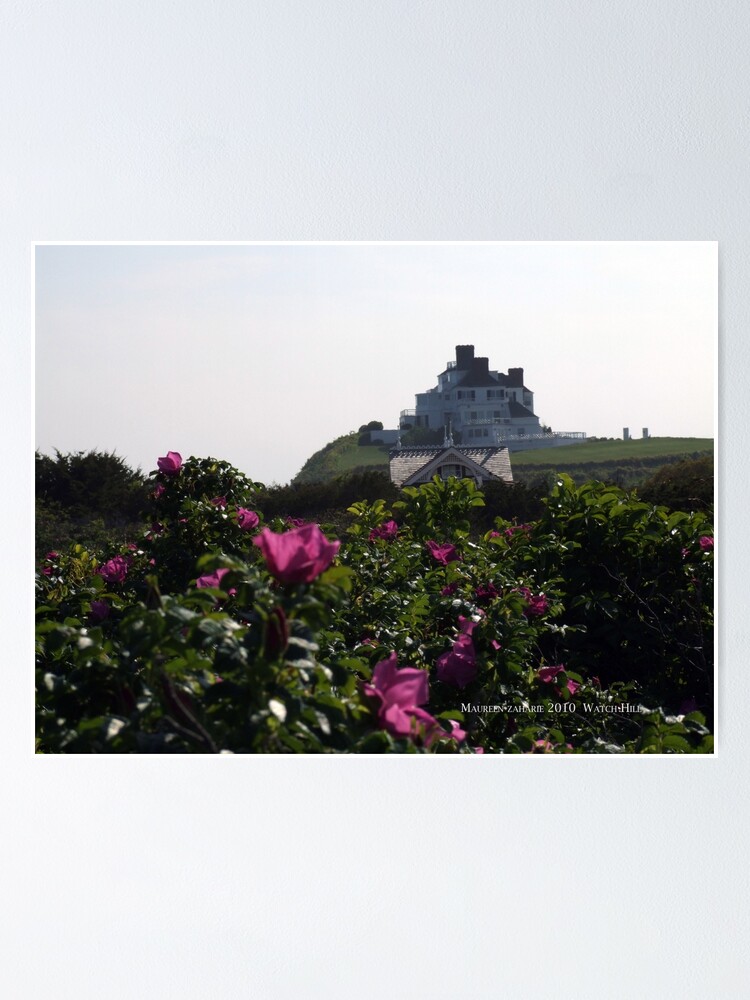 "Summer Home from Afar" Poster for Sale by Mobooksnart | Redbubble