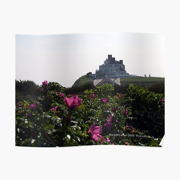 "Summer Home from Afar" Poster for Sale by Mobooksnart | Redbubble