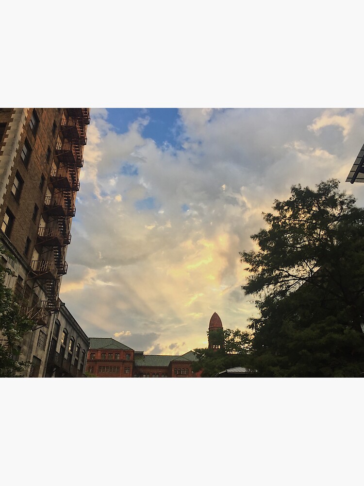 "Sun rays" Sticker by savannahpaige18 | Redbubble