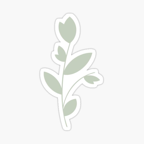 "Botanical Minimalism - Sage Green" Sticker for Sale by colourpoems ...