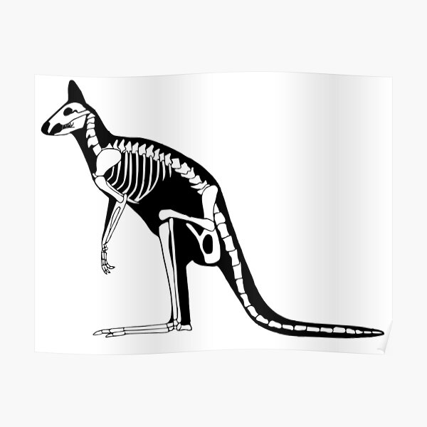 Póster «Impresión de tinta de esqueleto de canguro» de Halex0Art ...