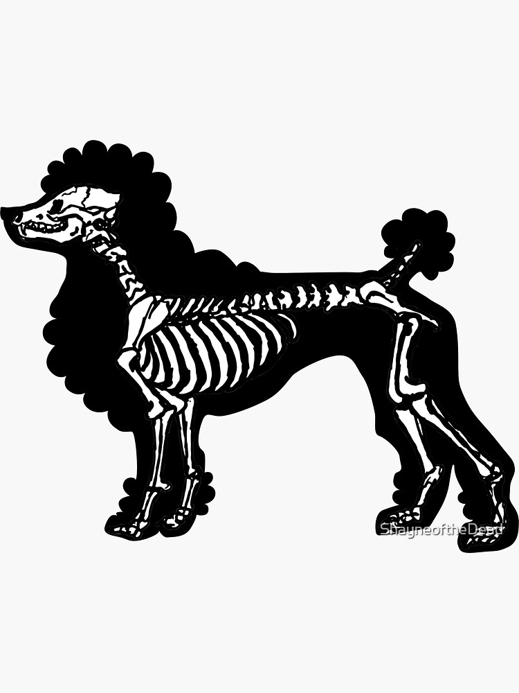 "poodle skeleton" Sticker for Sale by ShayneoftheDead | Redbubble