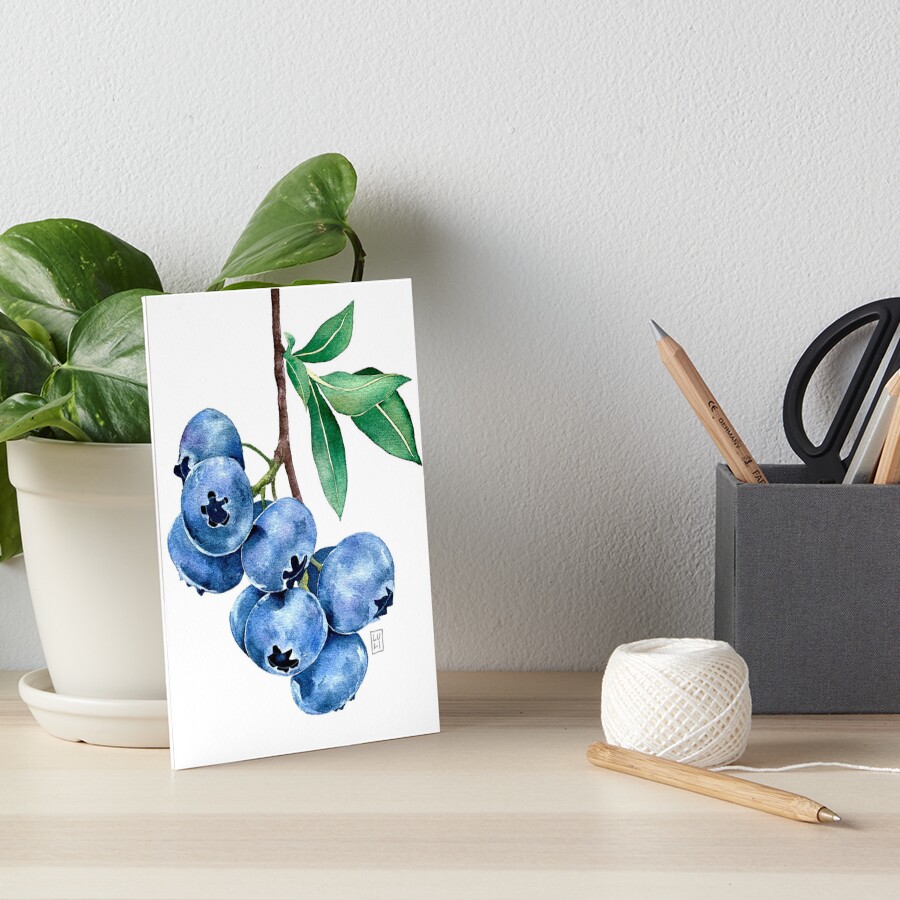 "Blueberry " Sticker for Sale by Luli Reis | Redbubble
