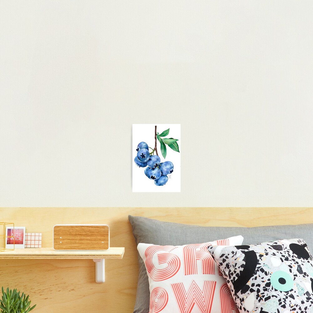 "Blueberry " Sticker for Sale by Luli Reis | Redbubble