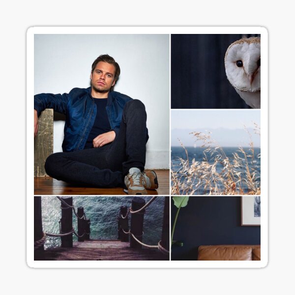 "Sebastian Stan Sticker Blue and Brown #3" Sticker by MarvelEdits ...