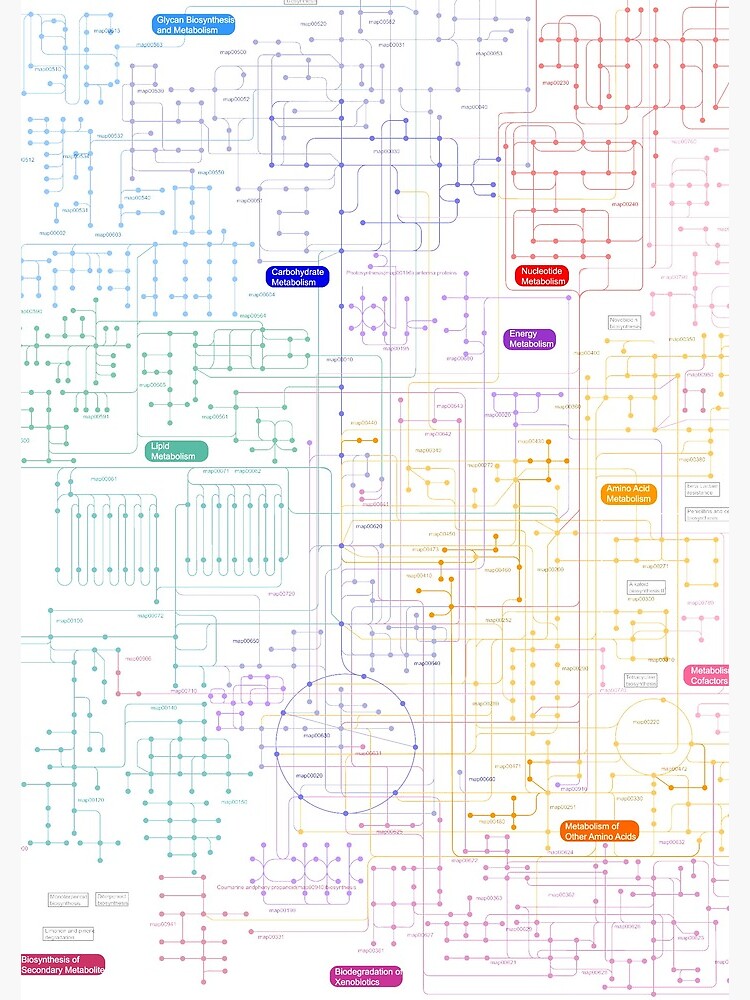 "Metabolic Pathways" Spiral Notebook for Sale by mbalax | Redbubble