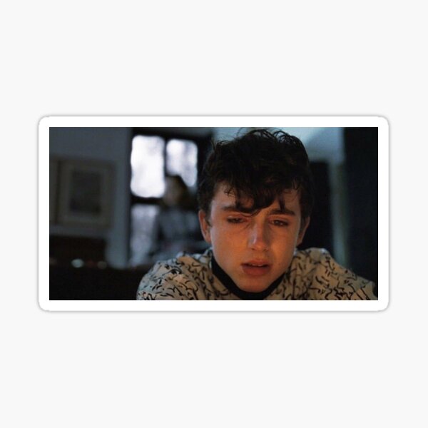 "call me by your name final scene" Sticker for Sale by PoppyJo | Redbubble