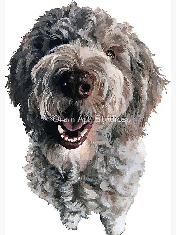 "Labradoodle - Digital no background" Photographic Print for Sale by ...