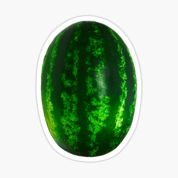 The Isolated Whole Watermelon Sticker For Sale By Serjin Redbubble