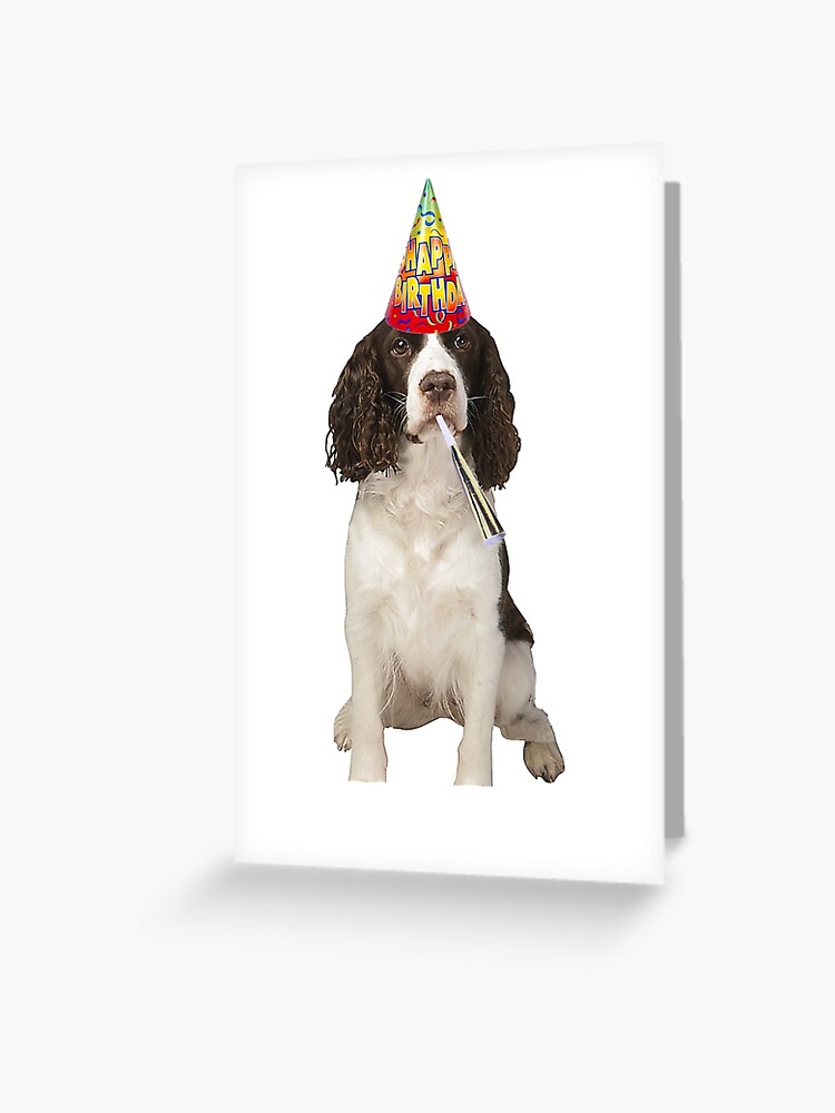 "English Springer Spaniel Birthday" Greeting Card for Sale by ...