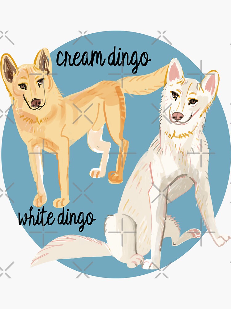 "White and cream dingoes" Sticker by belettelepink | Redbubble