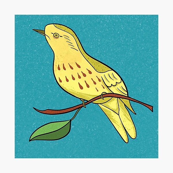 Lámina Fotográfica «pájaro Amarillo Curruca Amarilla Songbird 9 De 9