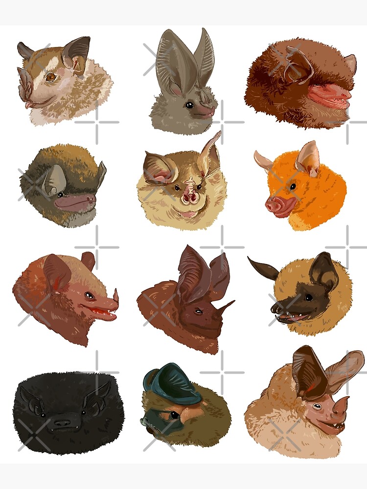 "Bat face sheet 2" Poster for Sale by Maysoulrose | Redbubble