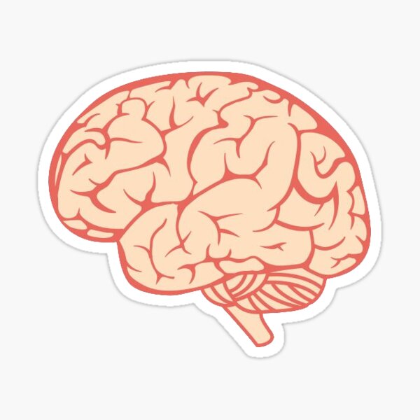 "Brain" Sticker for Sale by heatheraiken | Redbubble