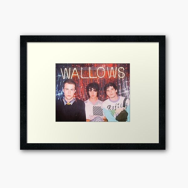 Wallows Wall Art | Redbubble