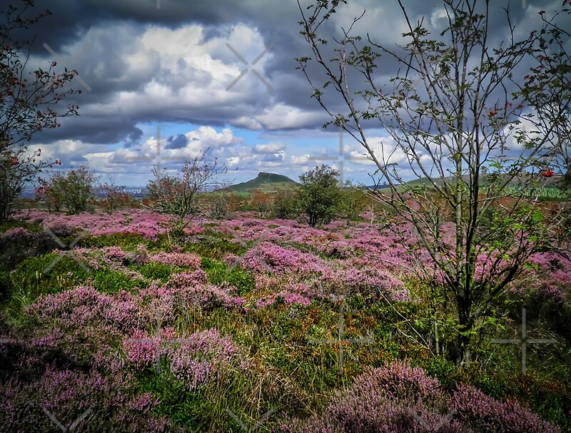 "Roseberry Topping from Easby Moor" by Yellow-14 | Redbubble