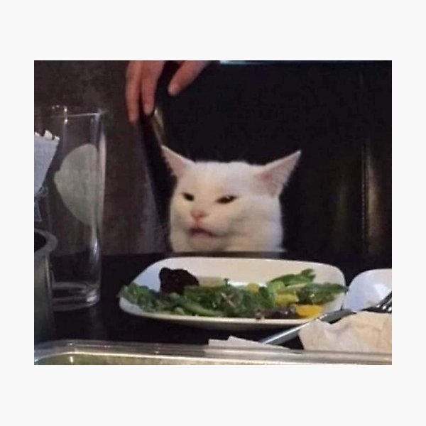 Lámina fotográfica «gato meme en crack» de --Pien-- | Redbubble