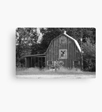 Mule Kick Gifts & Merchandise | Redbubble