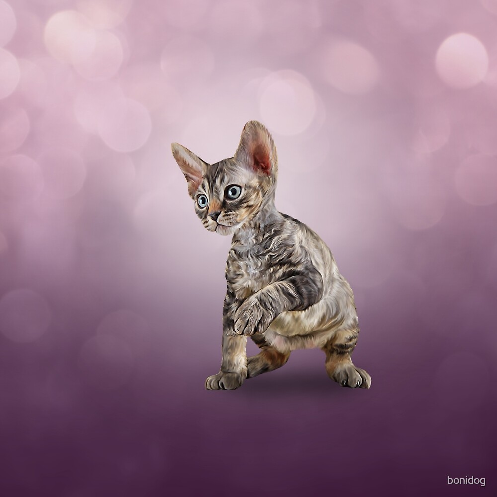 "Drawing cat Cornish Rex" by bonidog | Redbubble