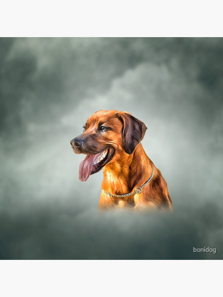 "Drawing Rhodesian Ridgeback" Poster for Sale by bonidog | Redbubble