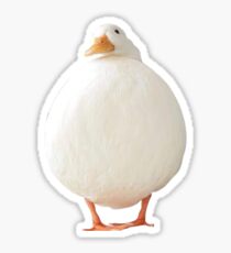 Chonky Animals Gifts & Merchandise | Redbubble