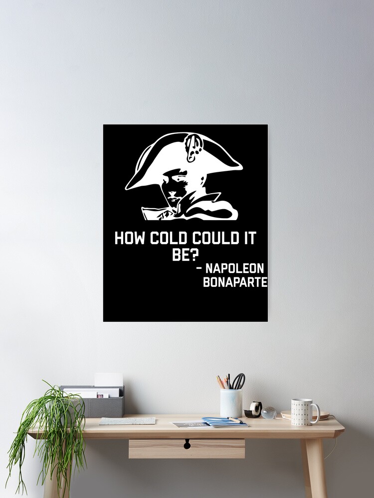 "How cold could it be? Napoleon Bonaparte hilarious fake history quote ...