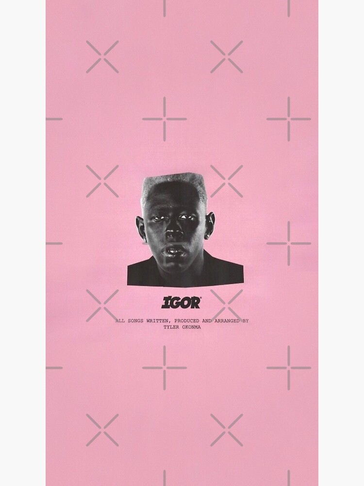"tyler the creater igor sticker " Sticker for Sale by ggrioss | Redbubble