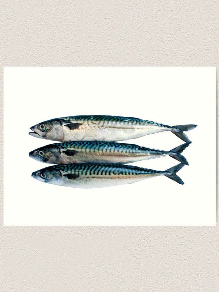 "Tree fresh mackerel fish" Art Print for Sale by IKGM | Redbubble