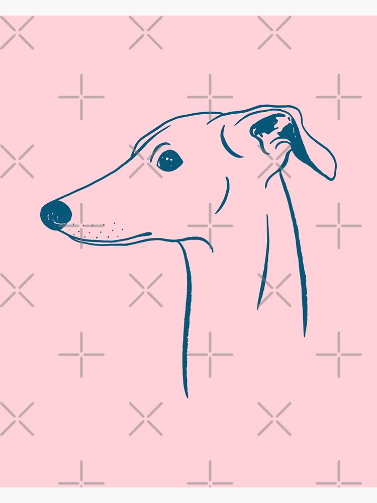 "Italian Greyhound (Pink and Blue)" Sticker by illucalliart | Redbubble