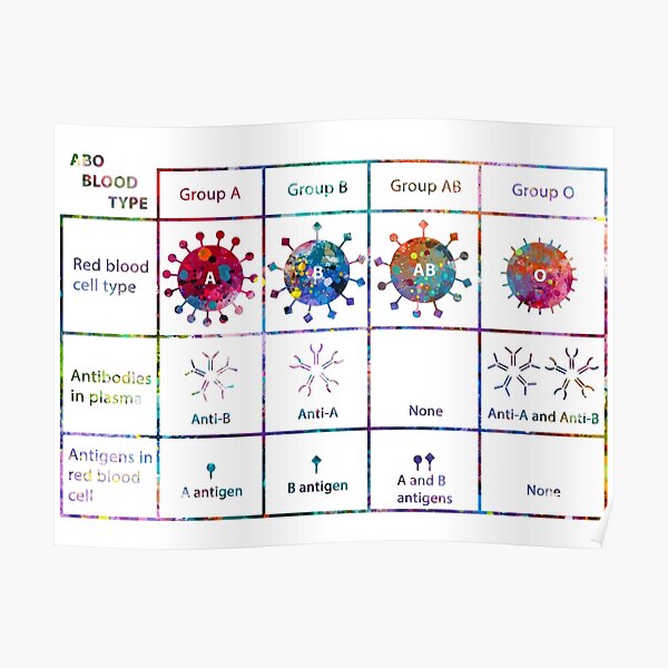 "ABO Blood Type Chart" Poster for Sale by EvasDreams | Redbubble