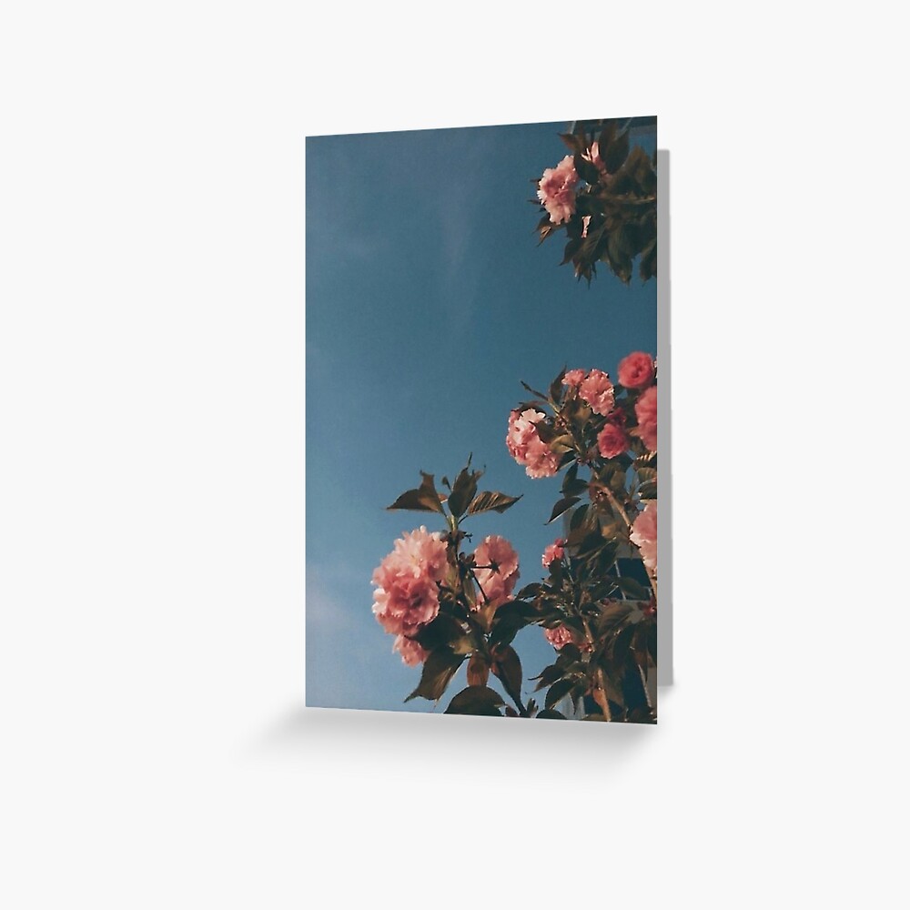 "aesthetic " Greeting Card for Sale by deslashae16 | Redbubble