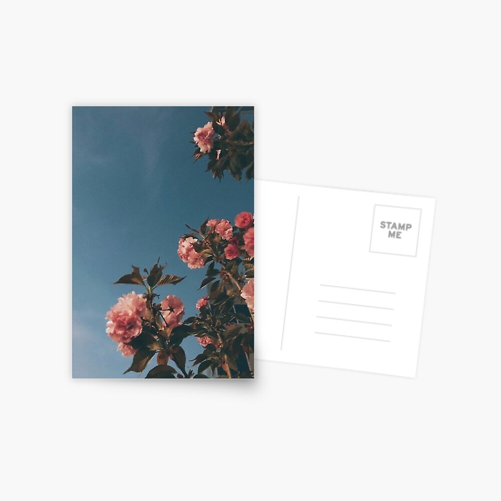 "aesthetic " Postcard for Sale by deslashae16 | Redbubble