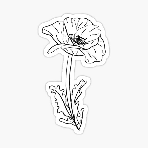 "Line Art Poppy #1" Sticker for Sale by ladybuginette | Redbubble