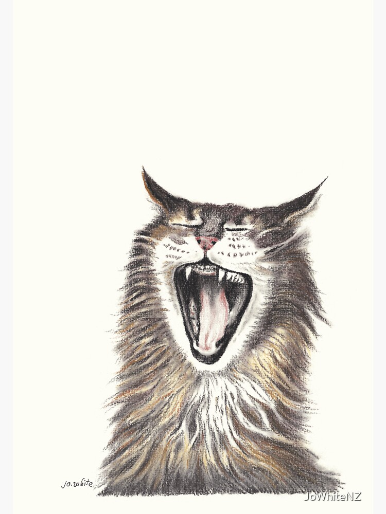 "Maine Coon Funny Faces - Cody" Sticker for Sale by JoWhiteNZ | Redbubble