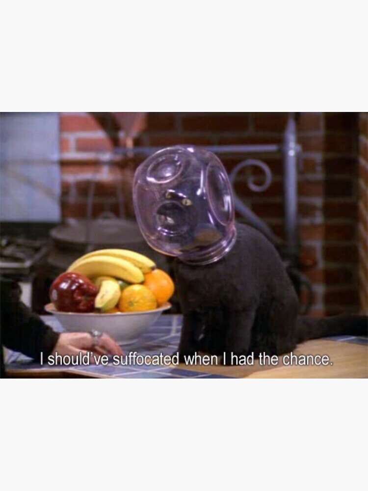 "salem the cat suffocation meme" Sticker for Sale by itskalymydudes ...