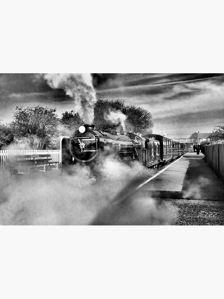 "Going Loco" Poster for Sale by JEZ22 | Redbubble