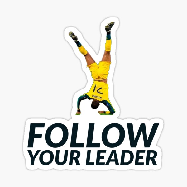 "Follow your leader - Ntcham celebration" Sticker for Sale by ...