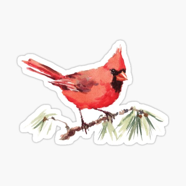 "Watercolor Cardinal" Sticker for Sale by NextTimeDesigns | Redbubble
