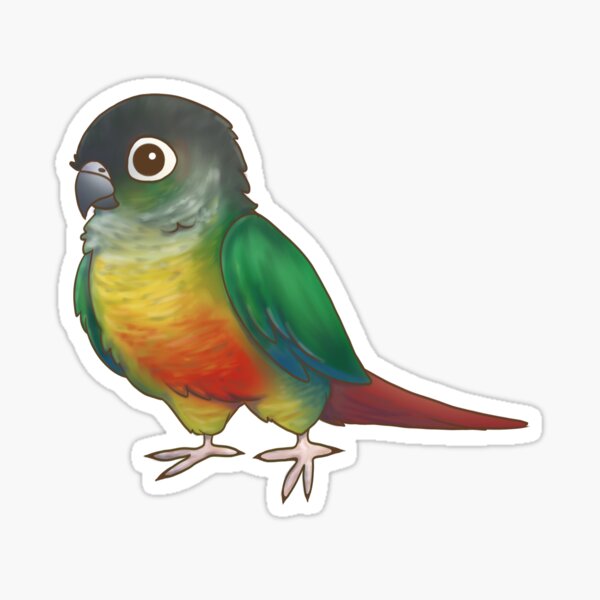 "Green Cheek Conure" Sticker for Sale by Devious-Monster | Redbubble