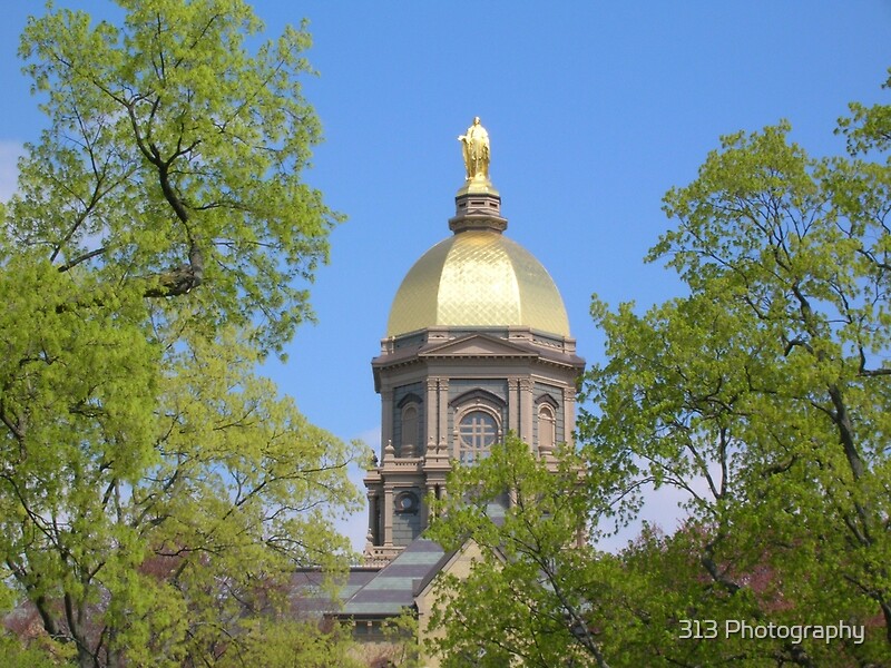 "Golden Dome Through the Trees-Notre Dame" by 313 Photography | Redbubble