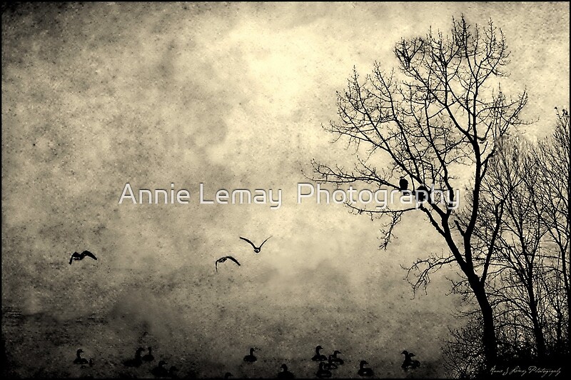 "Birds of Hatzic" by Annie Lemay Photography | Redbubble