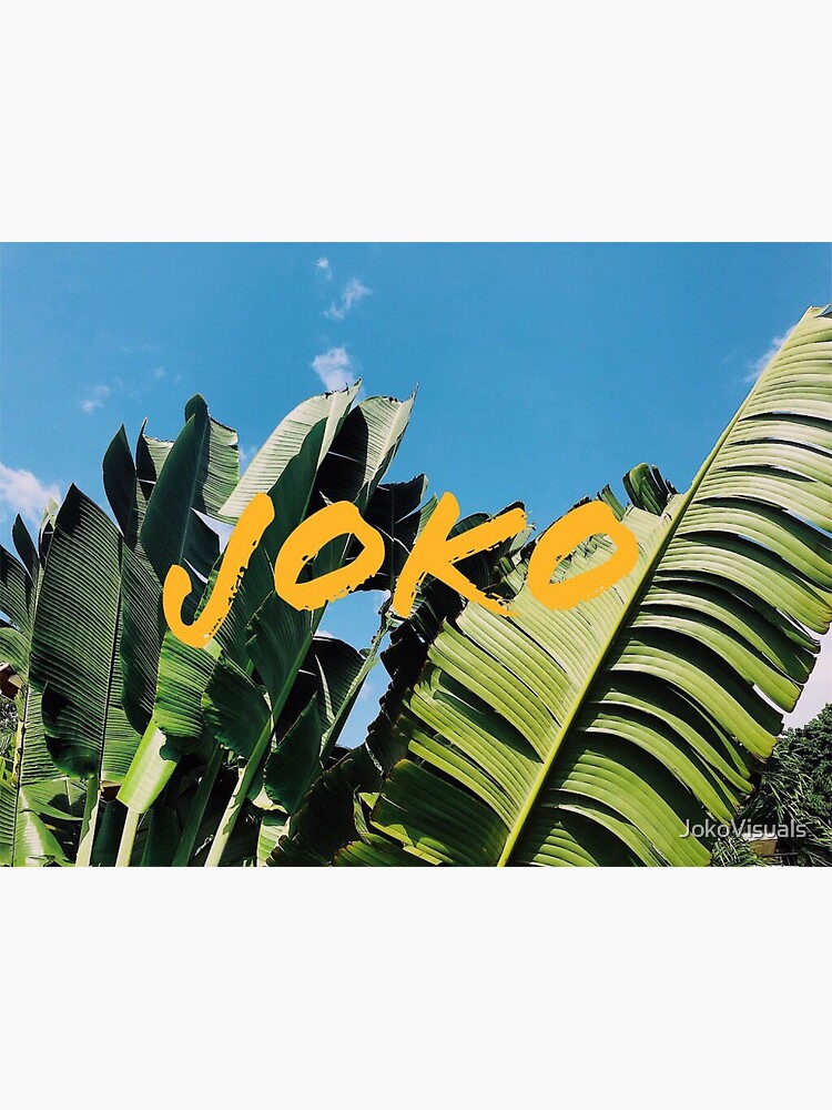 "Joko Logo - Green and Gold" Sticker for Sale by JokoVisuals | Redbubble