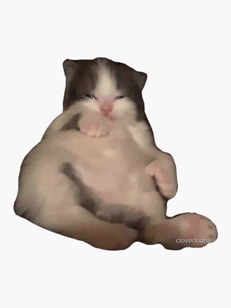 "Tired Cat Meme" Sticker by cloverloona | Redbubble