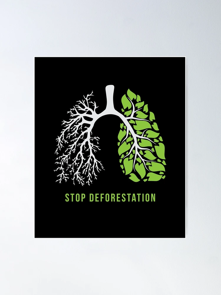 Deforestation Poster Making